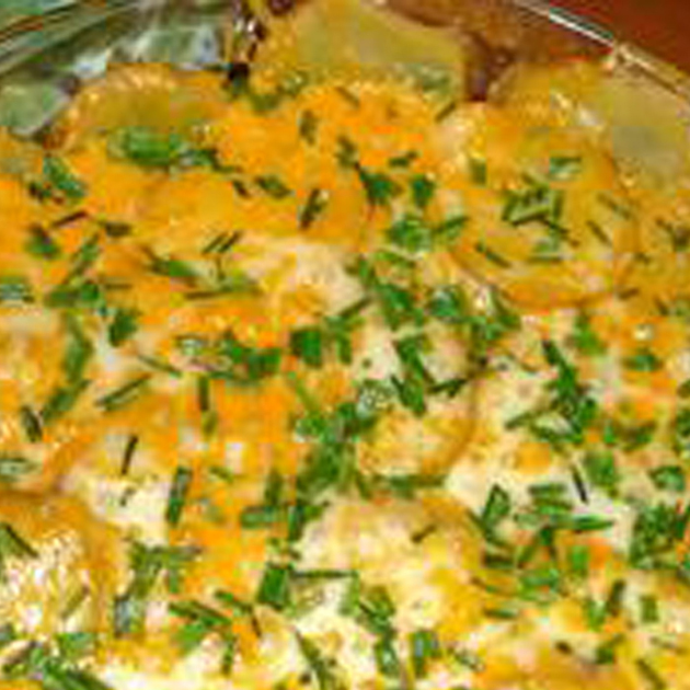 Mansaka | International Center University of Florida